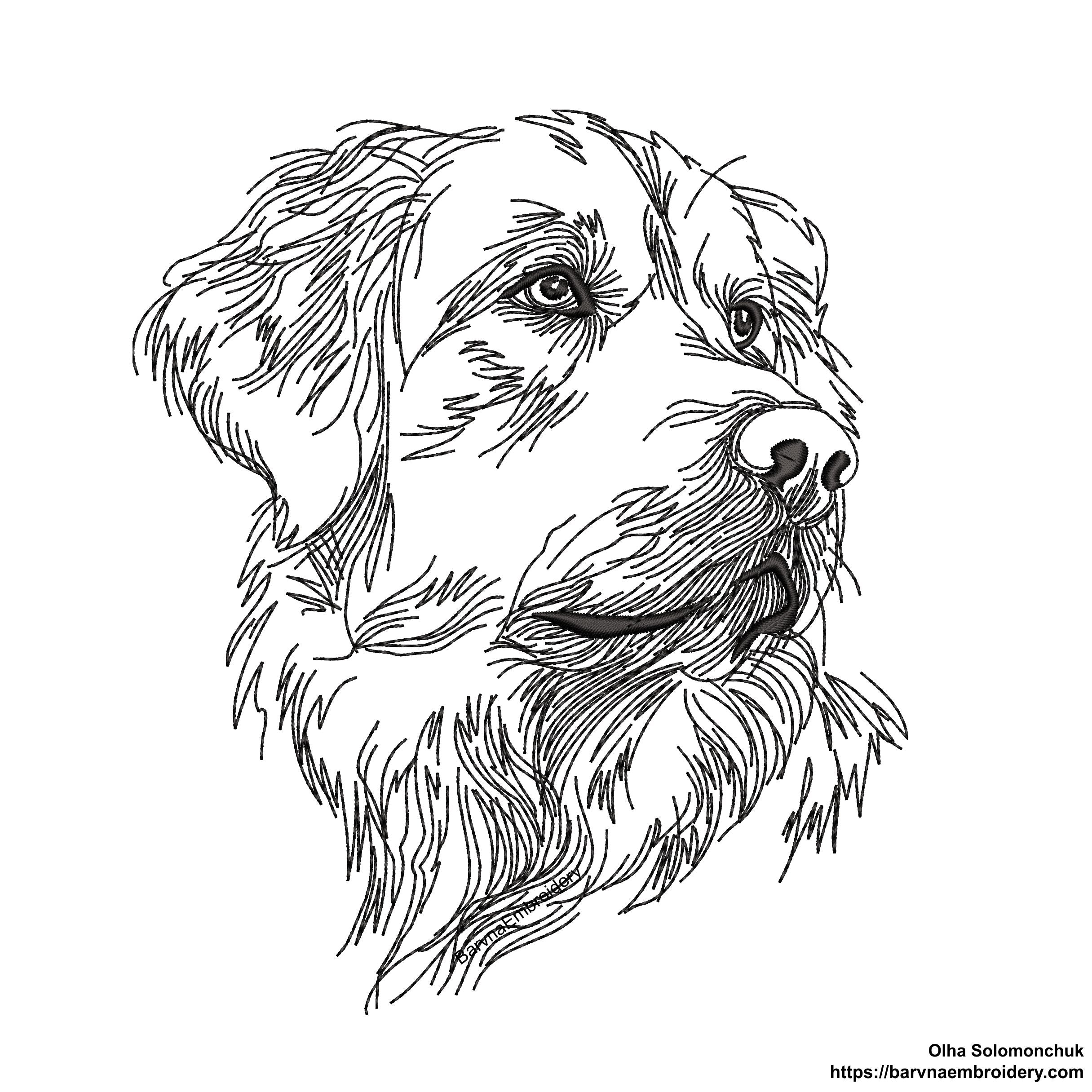 Golden Retriever Digital Machine Embroidery Design. – BarvnaEmbroidery