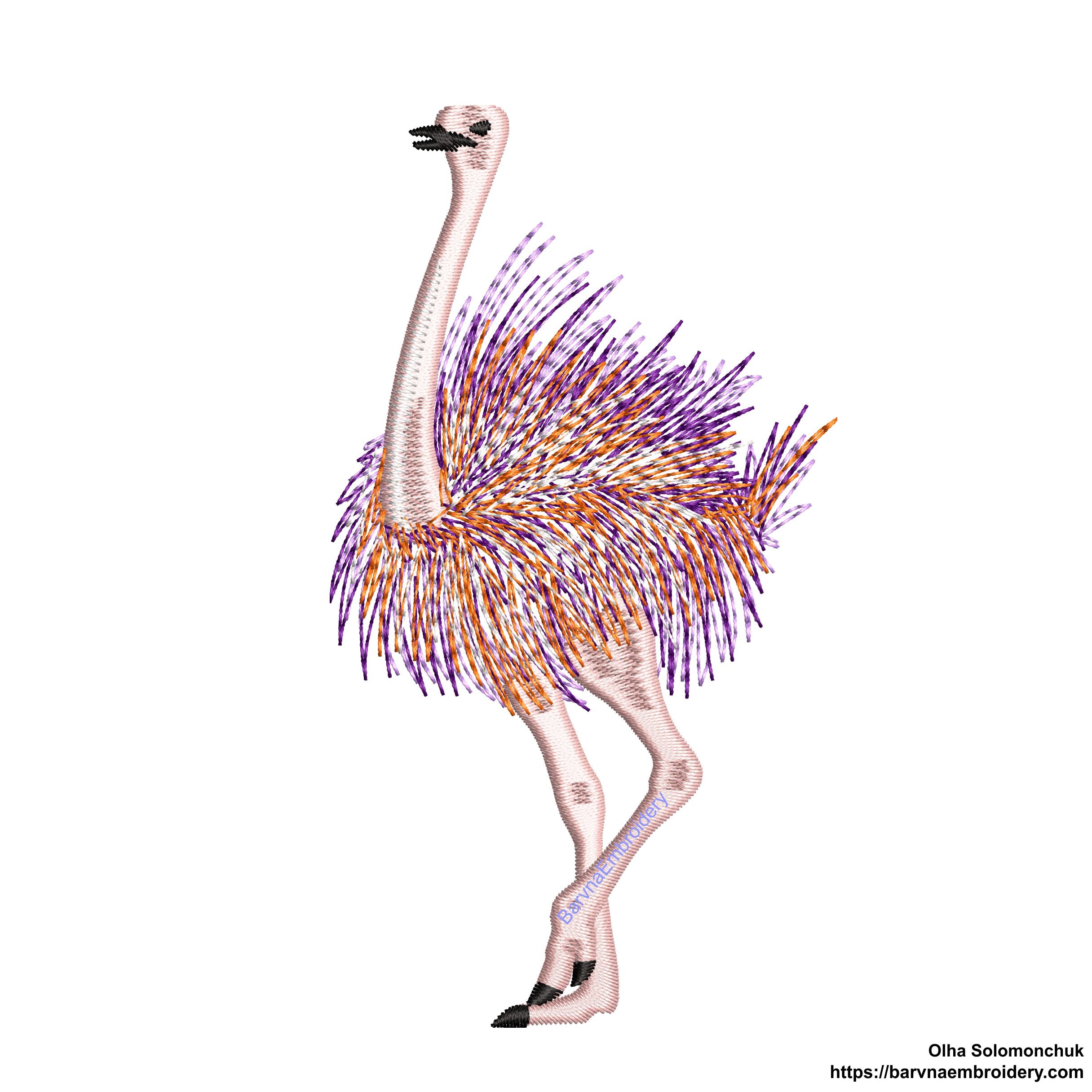 Ostrich bird Machine Embroidery Designs – BarvnaEmbroidery